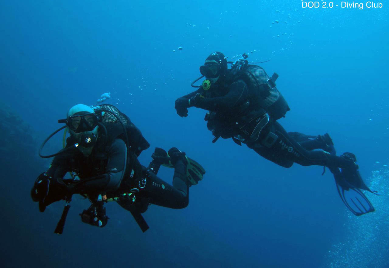 Guided Dives